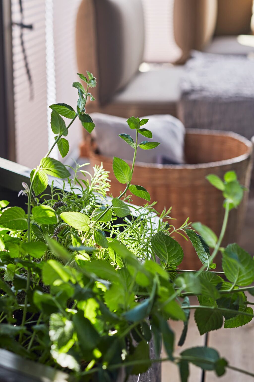 Kannustalon messutalo Maininki 2023 - Kannustalo